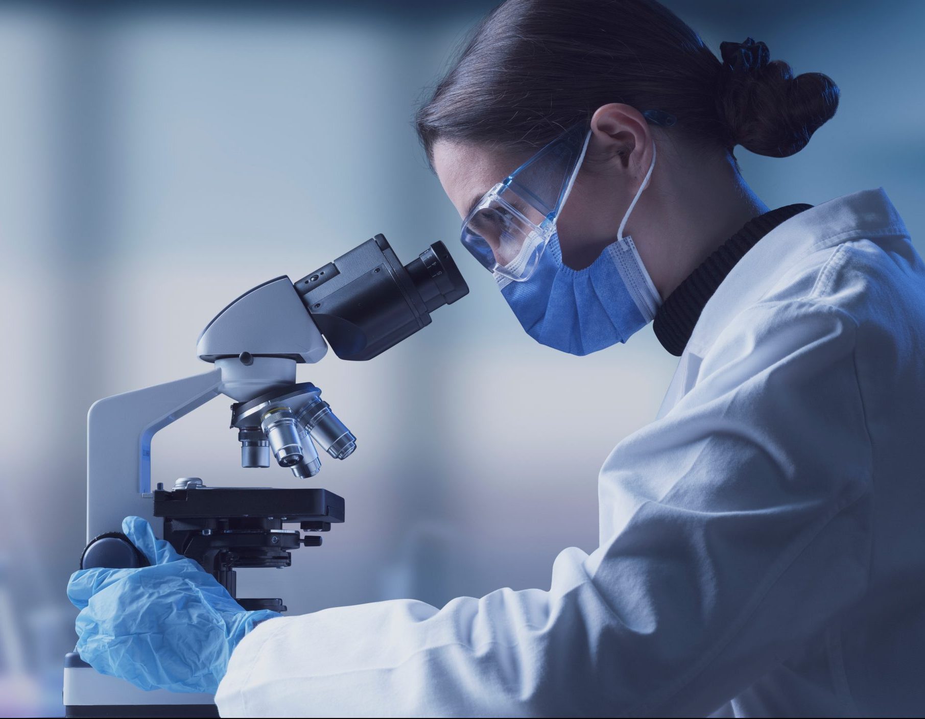 Image Analysis | SciSpot