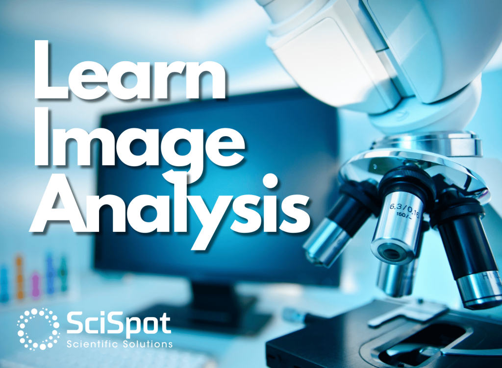 MIPAR Image Analysis - Material Science | SciSpot